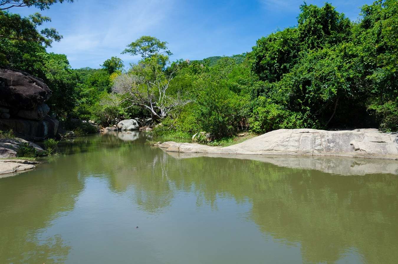Vườn Quốc Gia Núi Chúa - Khu dự trữ sinh quyển tại Ninh Thuận