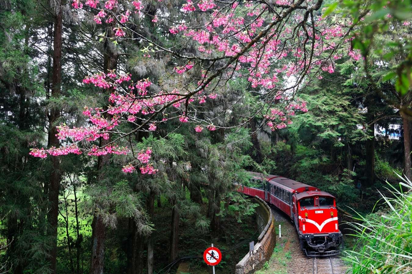 Must Visit Place Taiwan Travel Guide For 7 Days