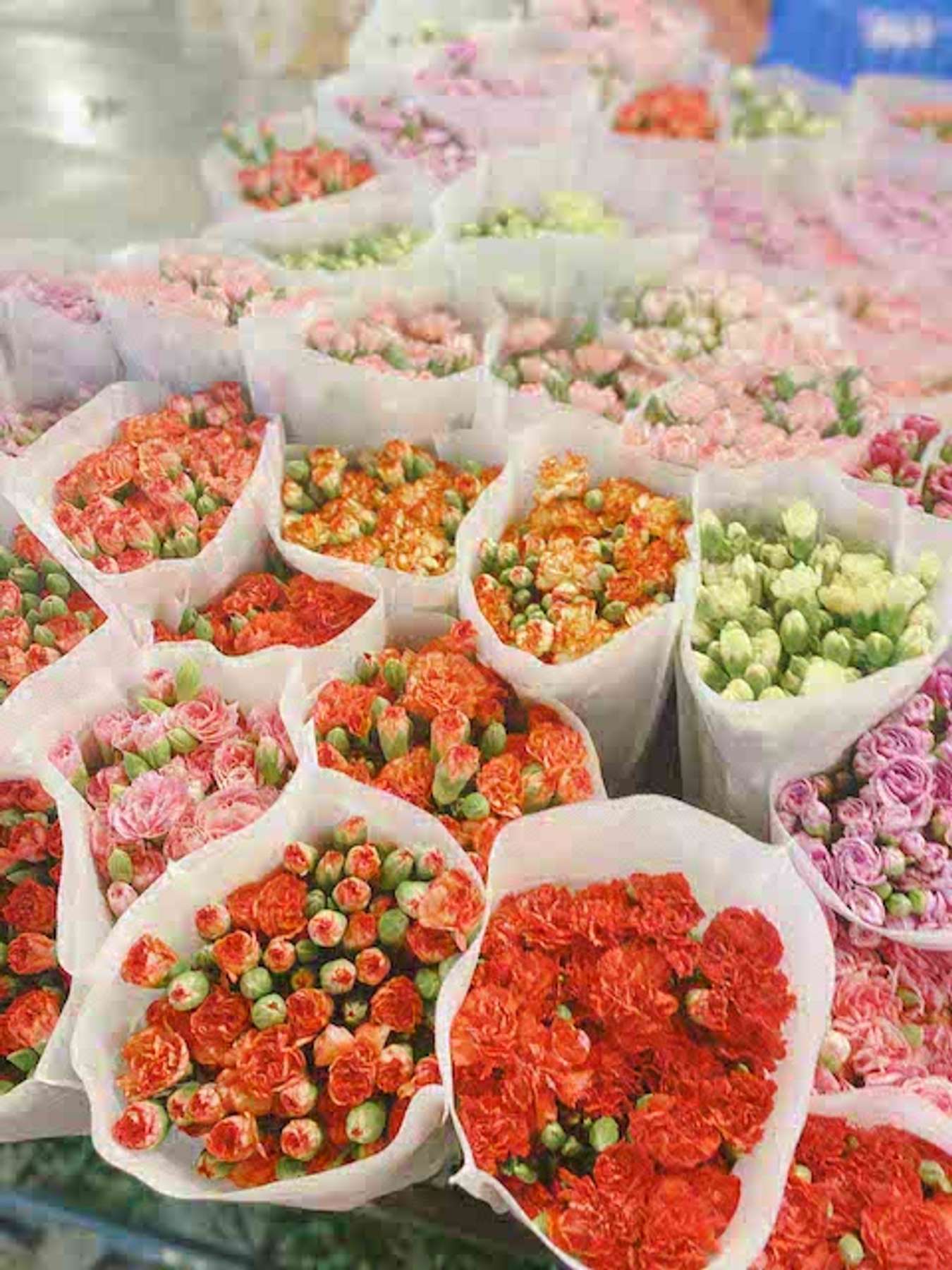 Thăm chợ hoa Quảng Bá - Thiên đường hoa lớn nhất Hà Nội