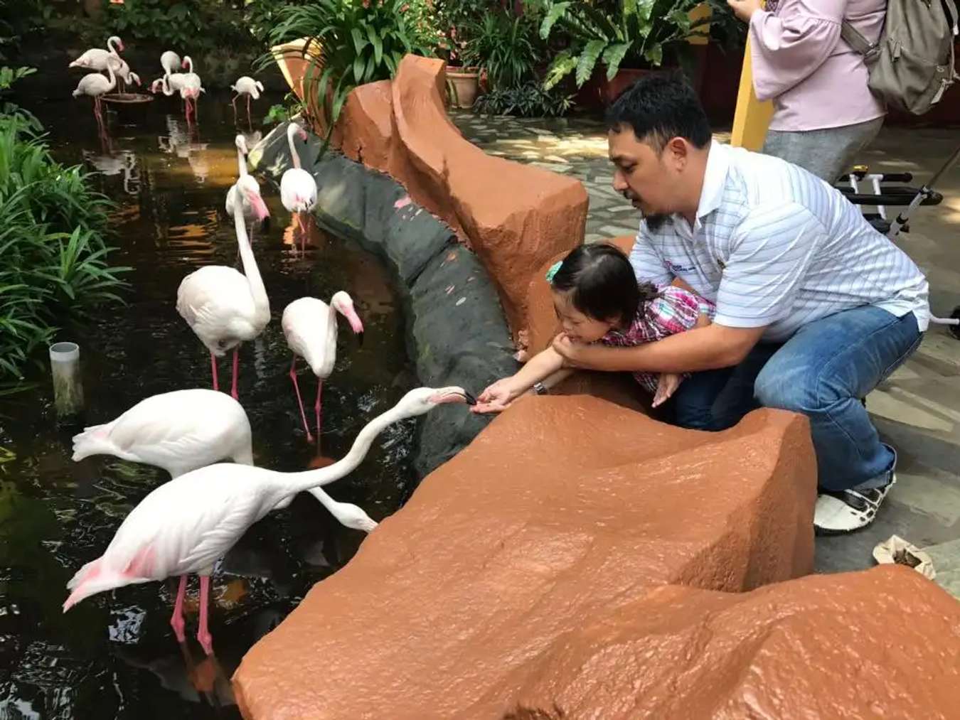 14 Tempat Menarik di Langkawi yang Best untuk Percutian!