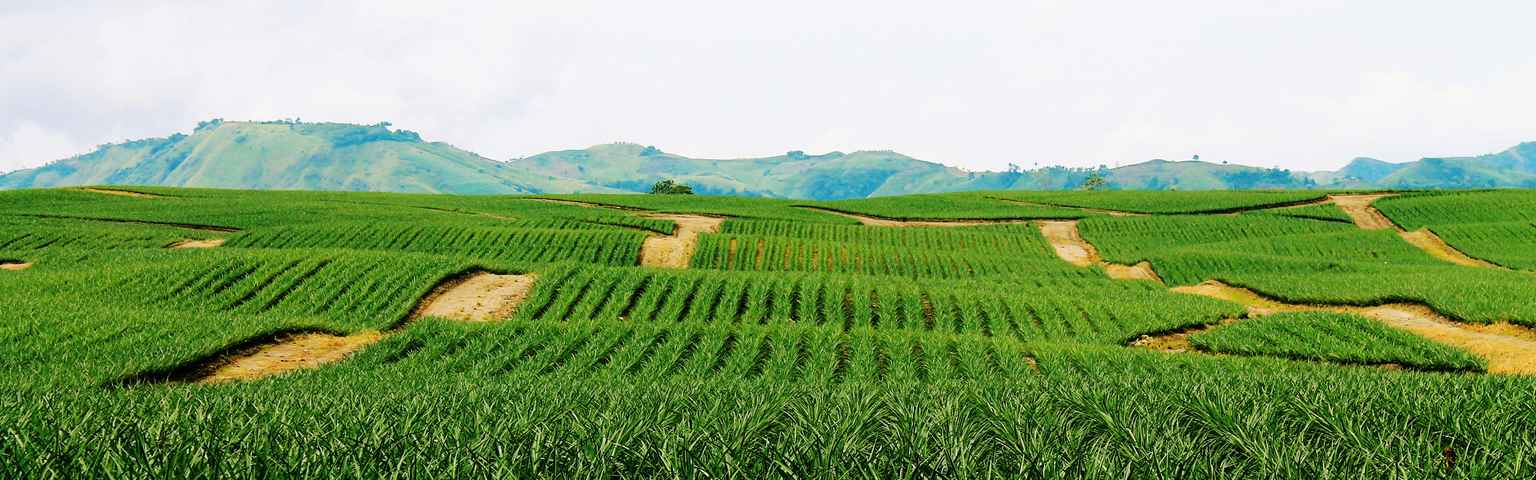 Exploring the Captivating Tourist Destinations of Polomolok, What’s Interesting Here?