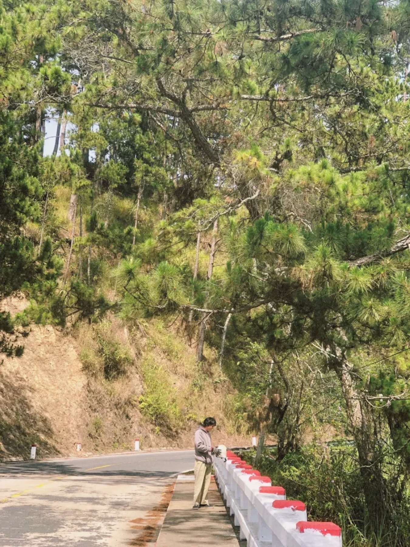 Du lịch D’ran - Nỗi nhớ dịu dàng cho người lữ khách