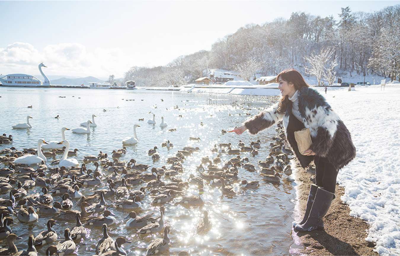 Du lịch Fukushima - điểm hẹn không thể bỏ lỡ khi đến Nhật Bản