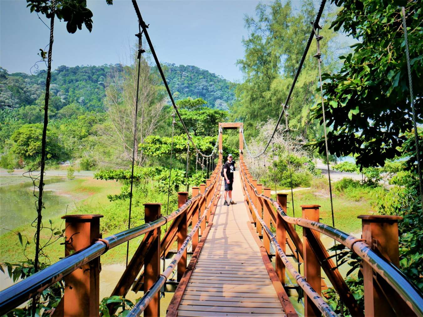 A Day Trip of Penang Attractions