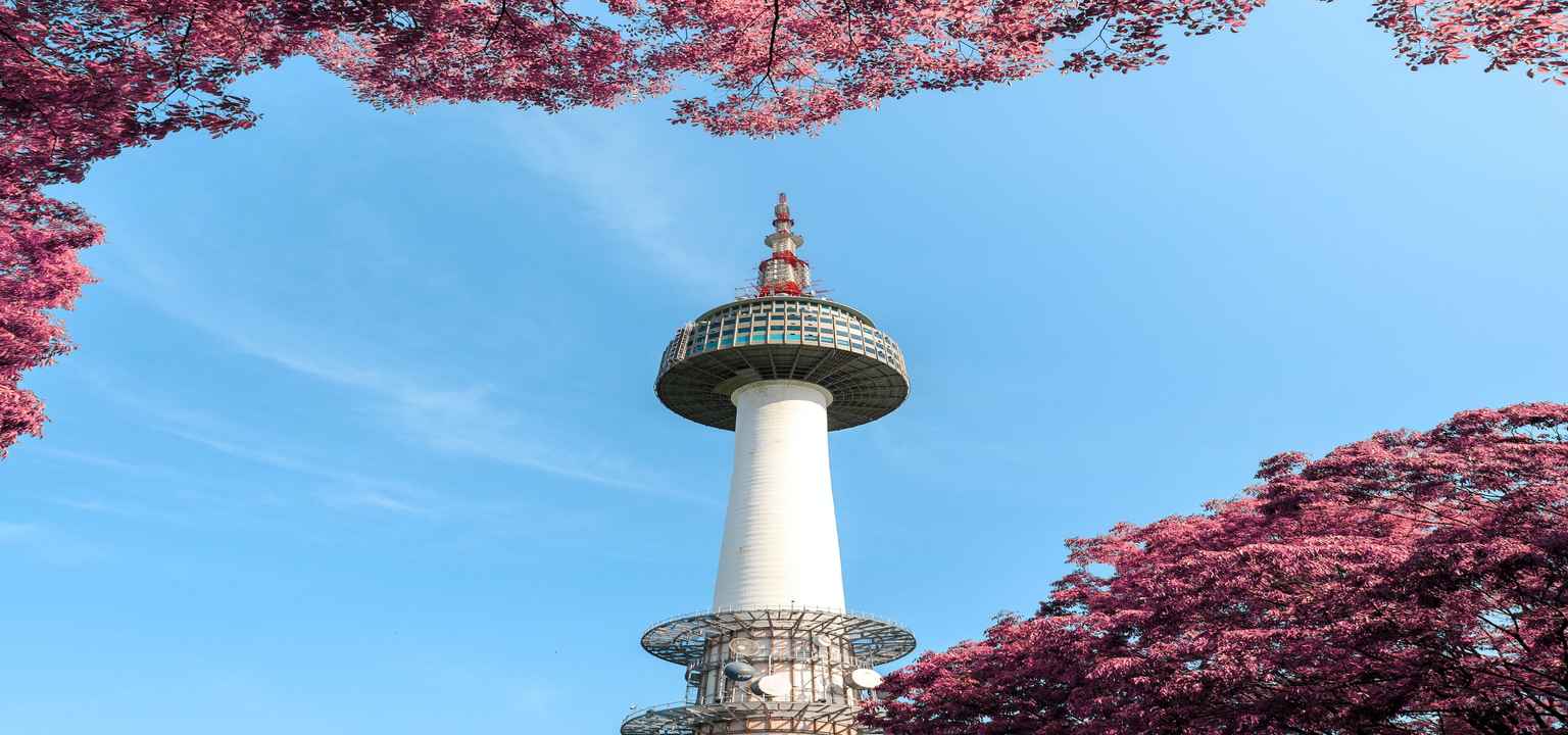 Explore the wonders of South Korea! Discover captivating culture ...
