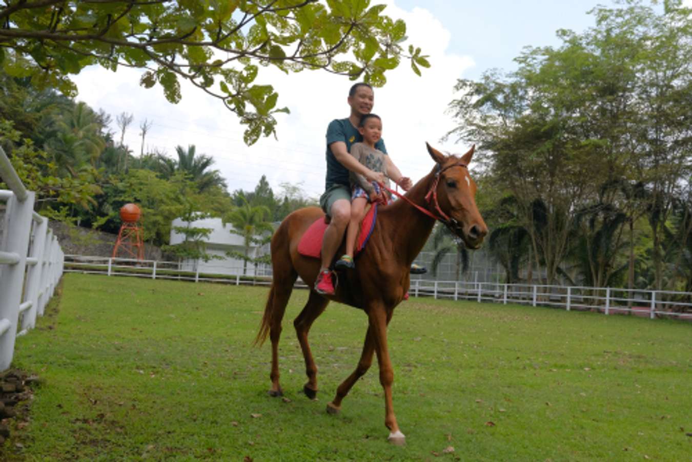 10 Rekomendasi Tempat Outbound Di Medan, Ada yang Gratis