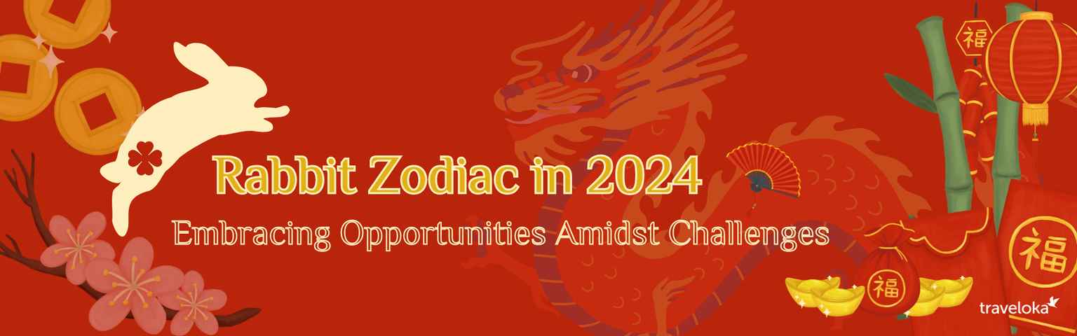Rabbit Zodiac in 2024: Embracing Opportunities Amidst Challenges