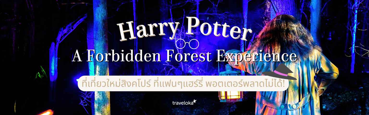 Forbidden Forest ที่เที่ยวใหม่สิงคโปร์ ที่แฟนๆแฮรี่ พอตเตอร์พลาดไม่ได้!