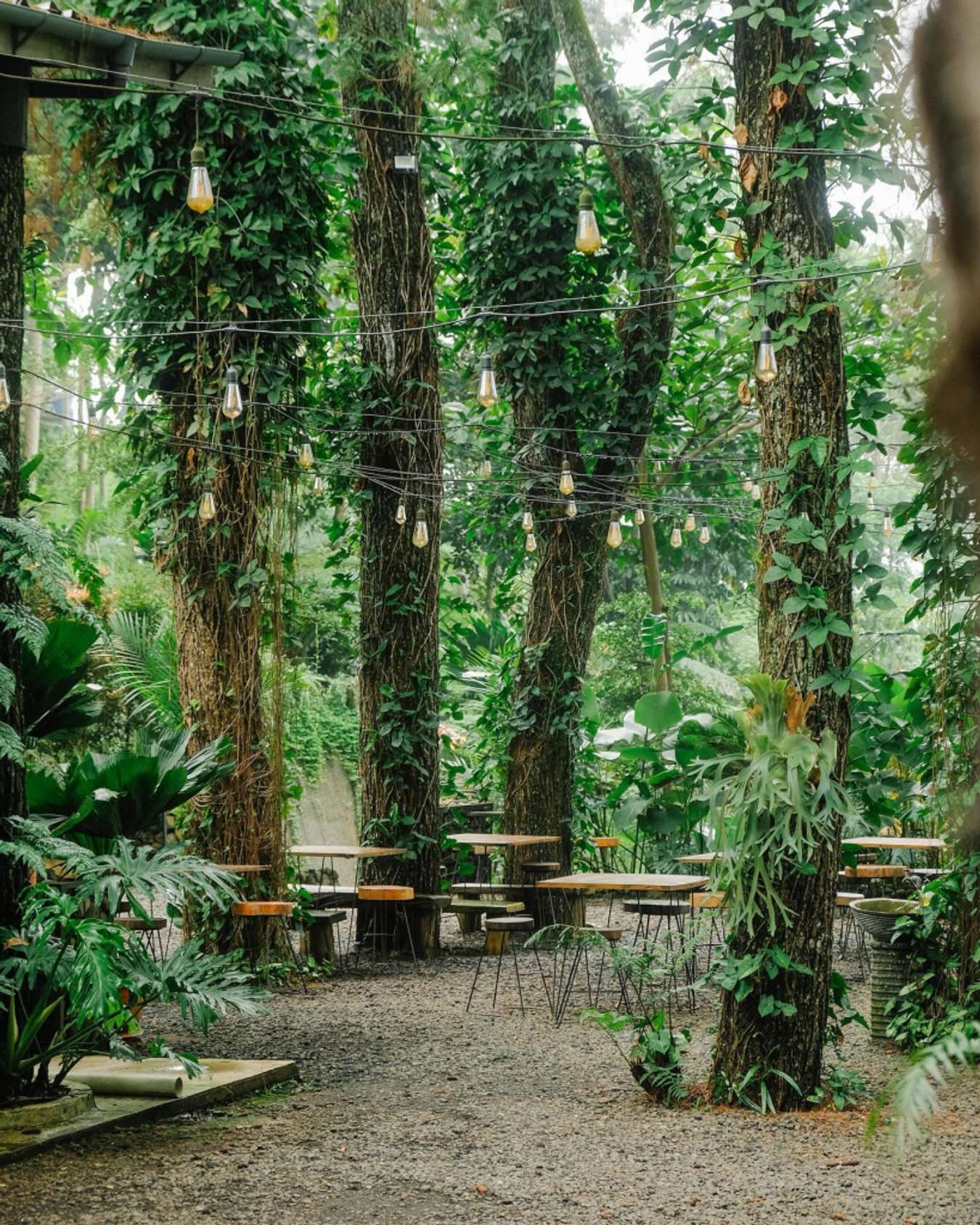 Viral! Cafe Instagramable di Bogor Indoor dan Outdoor