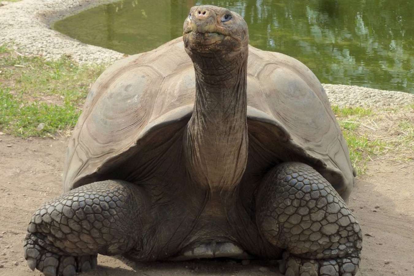 10 Best & Must Visit Zoo in Japan