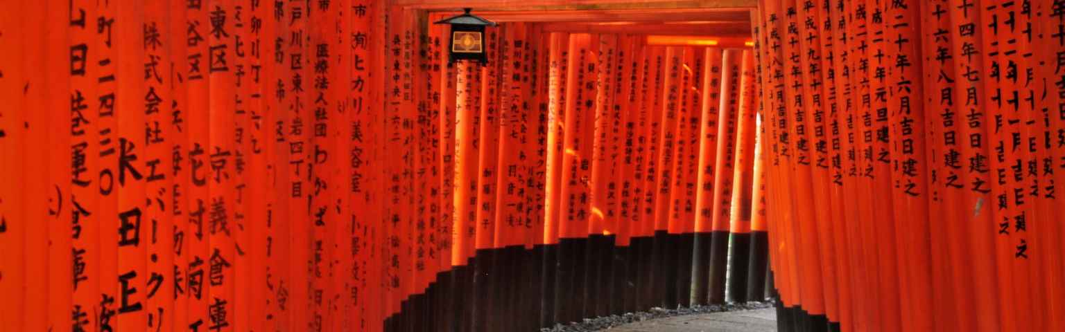 Perfect 10-Day Spring Itinerary for Japan: Experience the Best of ...