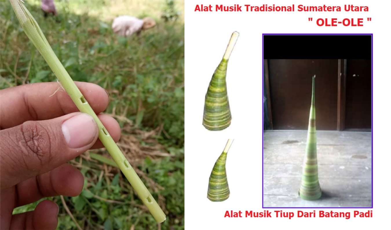 9 Alat Musik Tradisional Sumatera Utara yang Unik dan Menarik