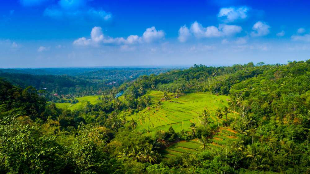 10 Tempat Wisata di Ciamis untuk Keluarga, Alamnya Masih Asri!