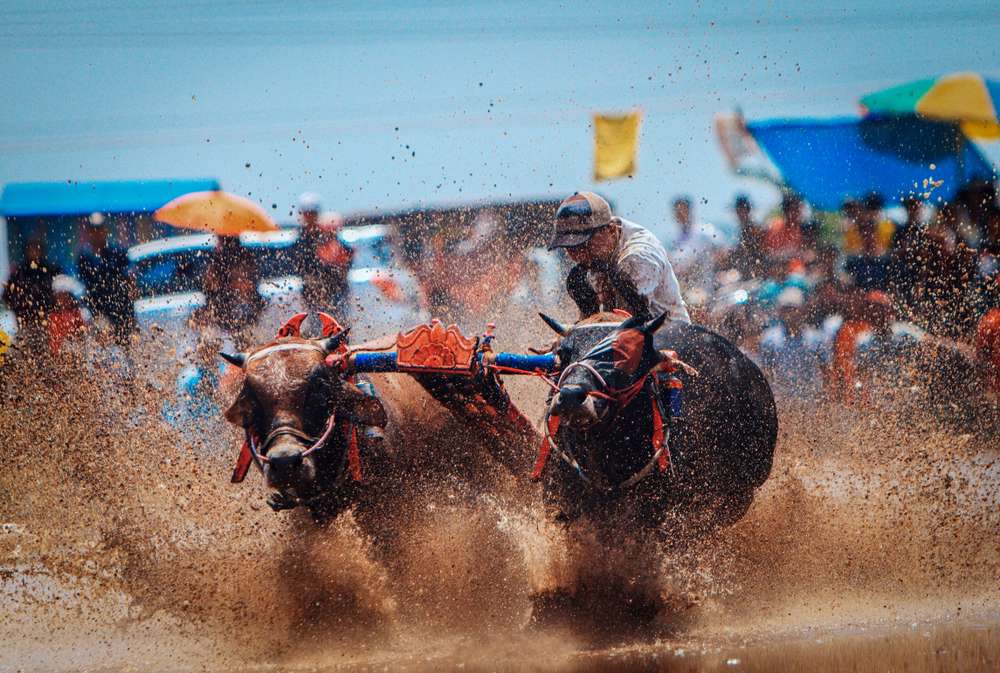 12 Alat Musik Tradisional Jawa Tengah dan Cara Memainkannya