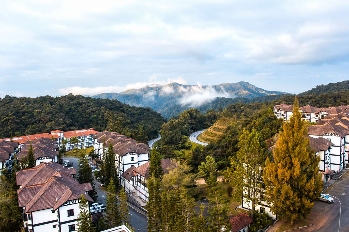 10 Fun Things to Do in Cameron Highland