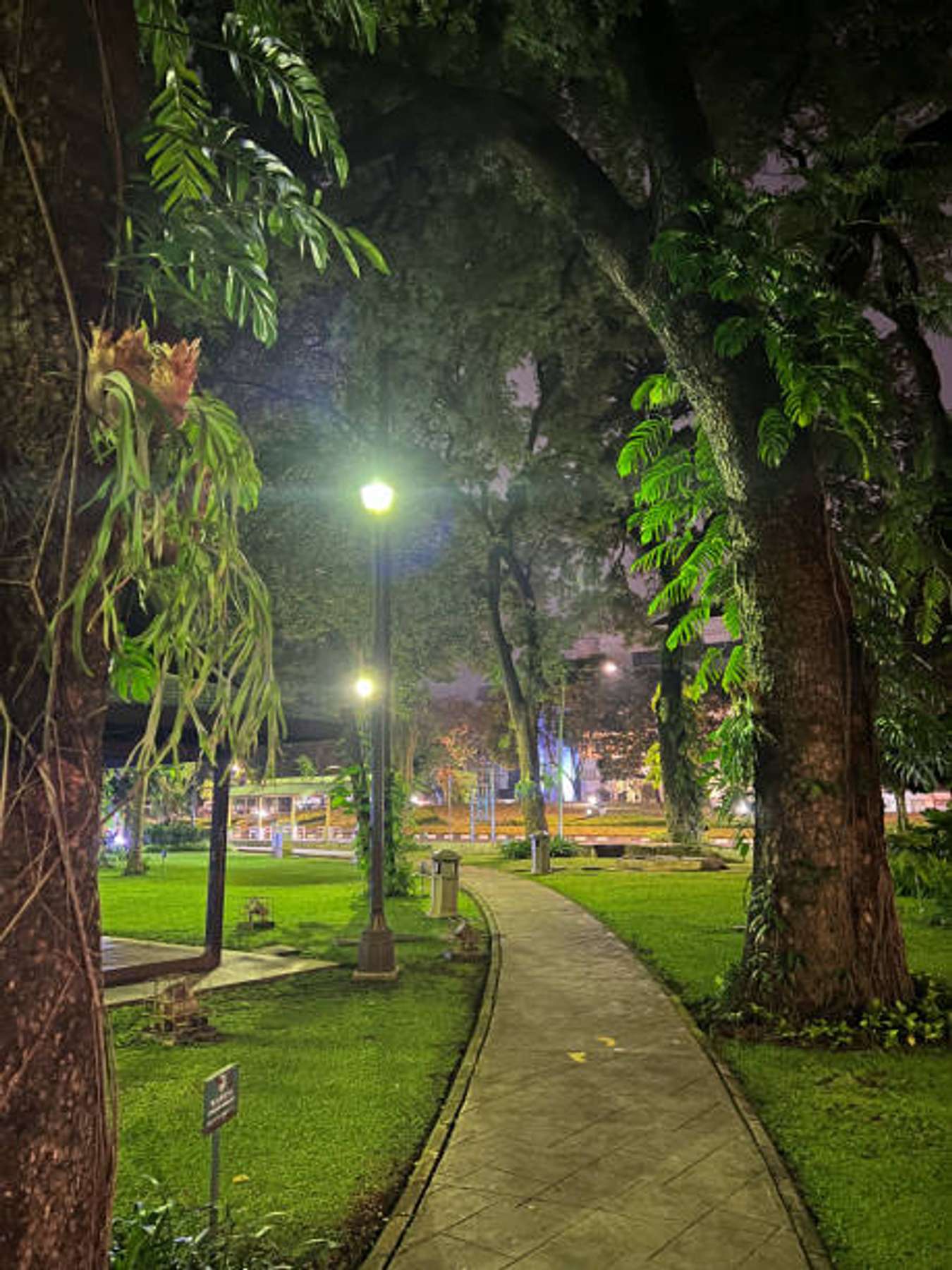 Rute Koridor 3 Transjakarta