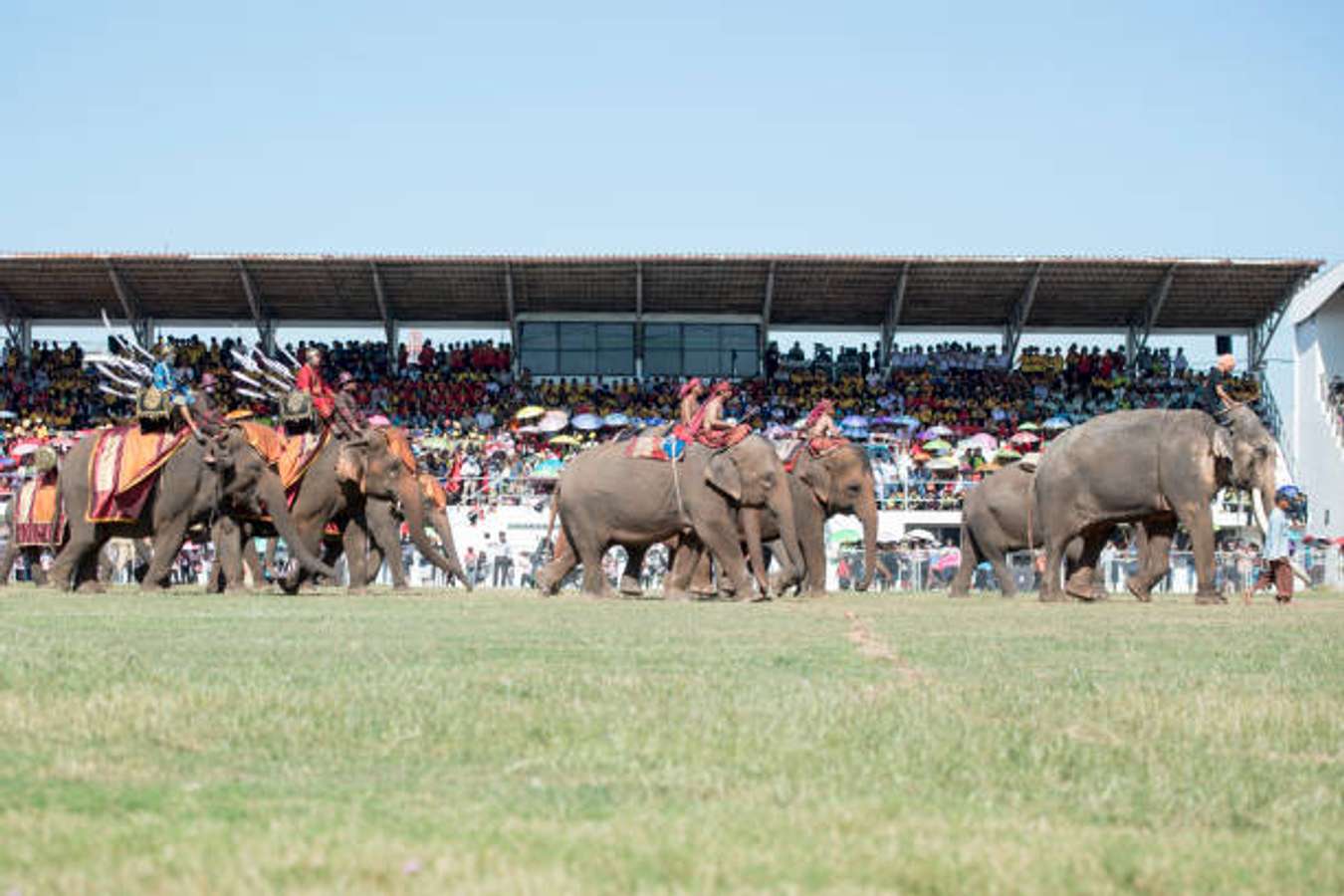 11 Activities You Can Do at Zoo Negara