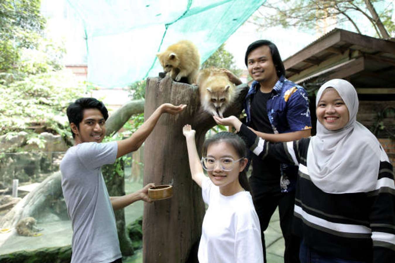 11 Activities You Can Do at Zoo Negara