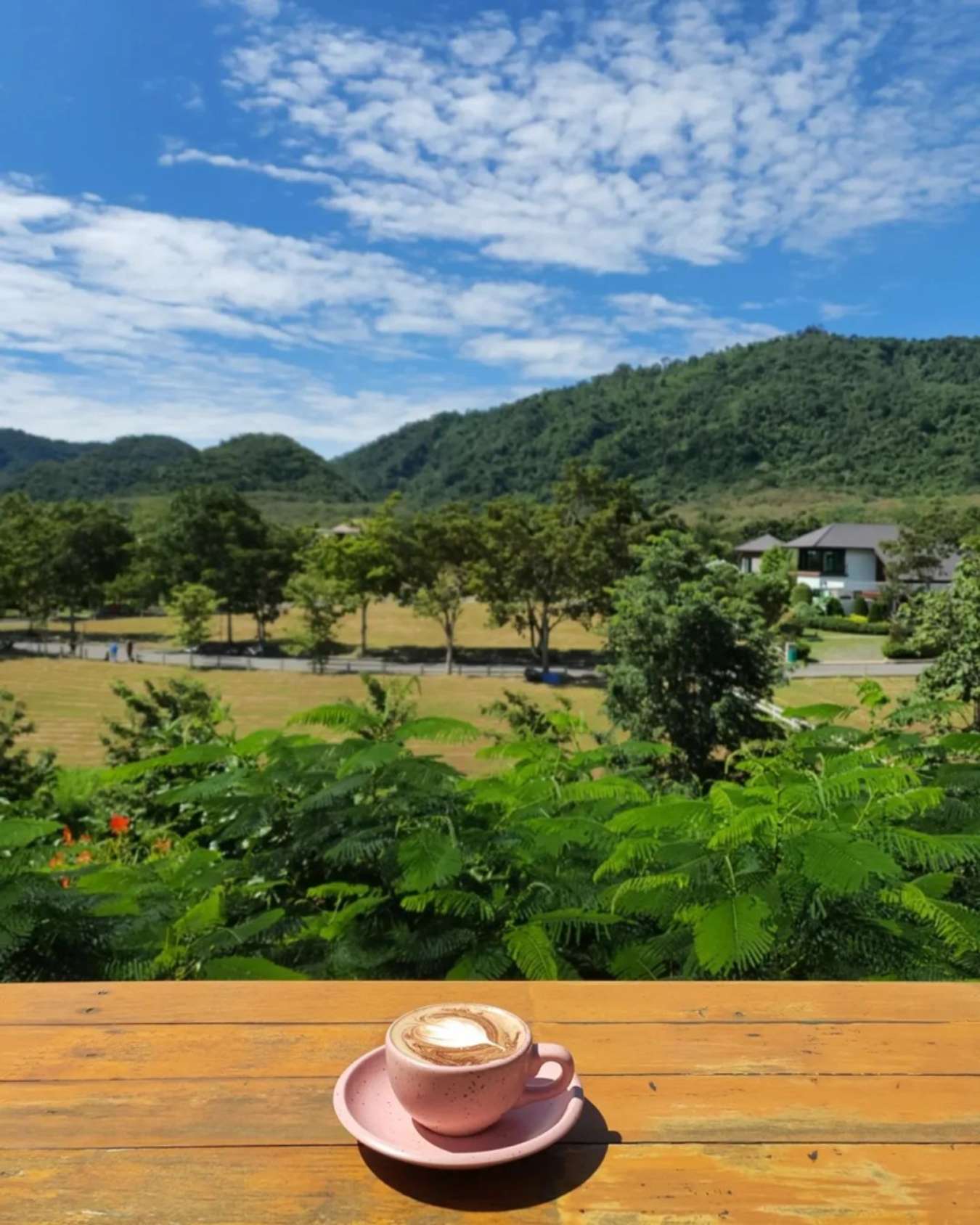 7 Best Cafes in Khao Yai for Perfect Hangouts and Instagram Spots!