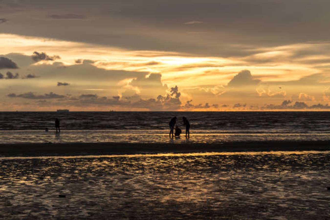 Aktiviti Menarik untuk Dilakukan di Pantai Morib