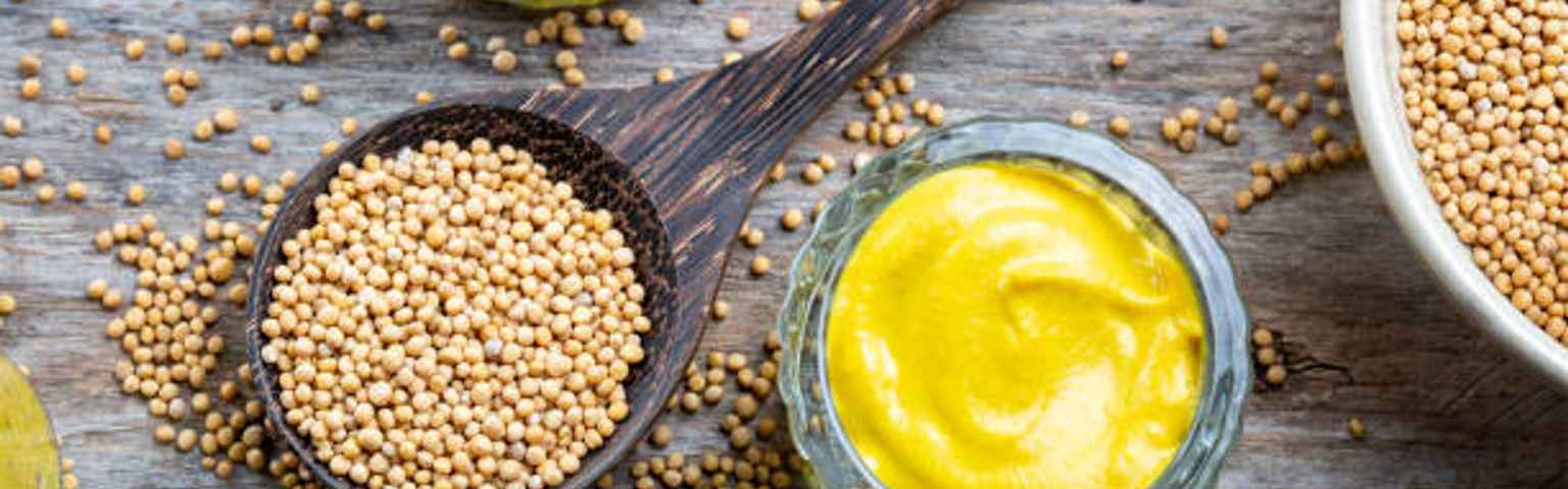 Mengenal Mustard, Saus Khas Eropa dengan 3 Pilihan Rasa