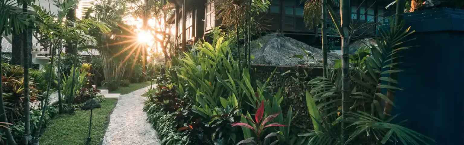 Explore The 8 Best Resorts in Canggu, Bali - Lux in Nature