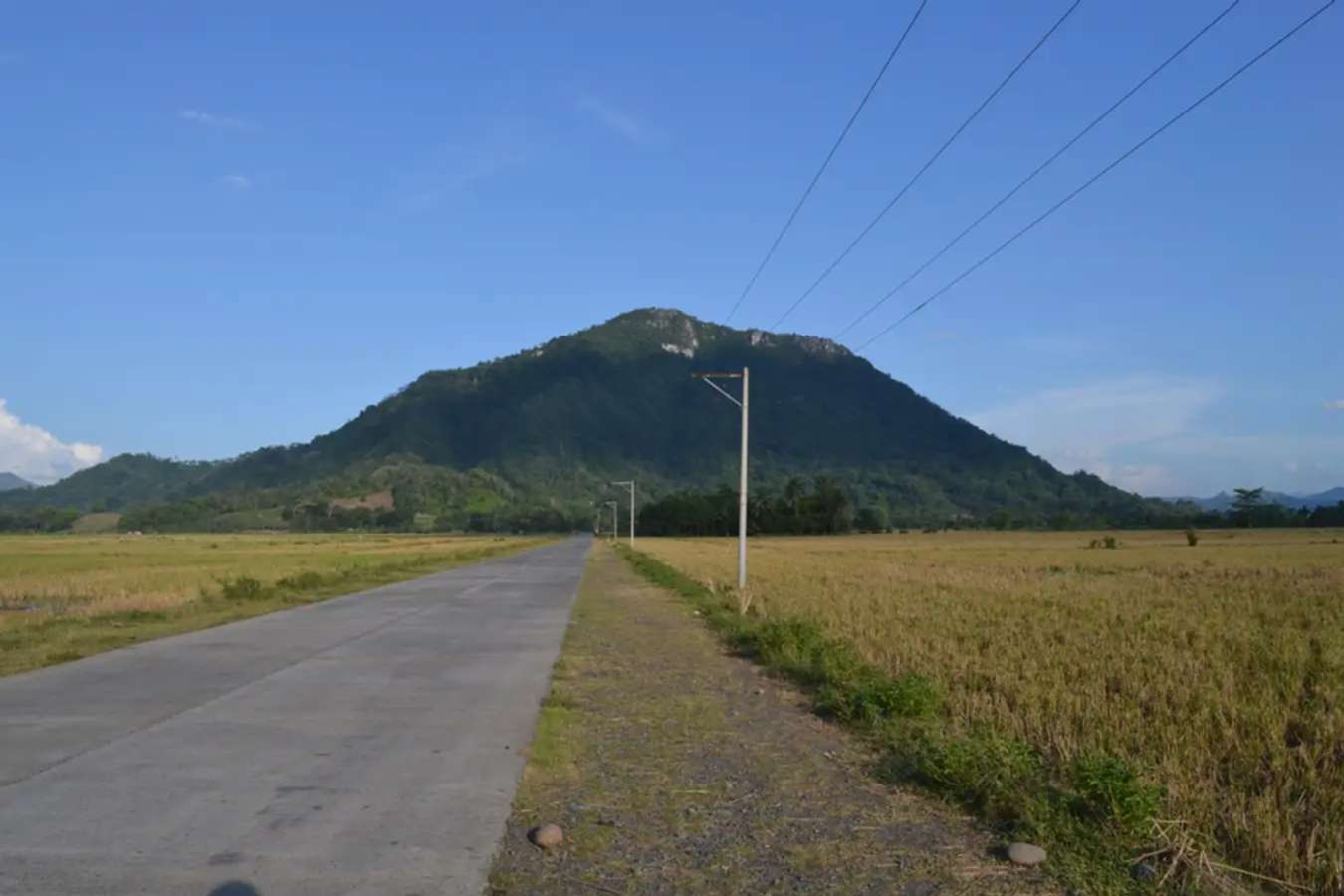Complete Guide For Your Next Bukidnon Adventure