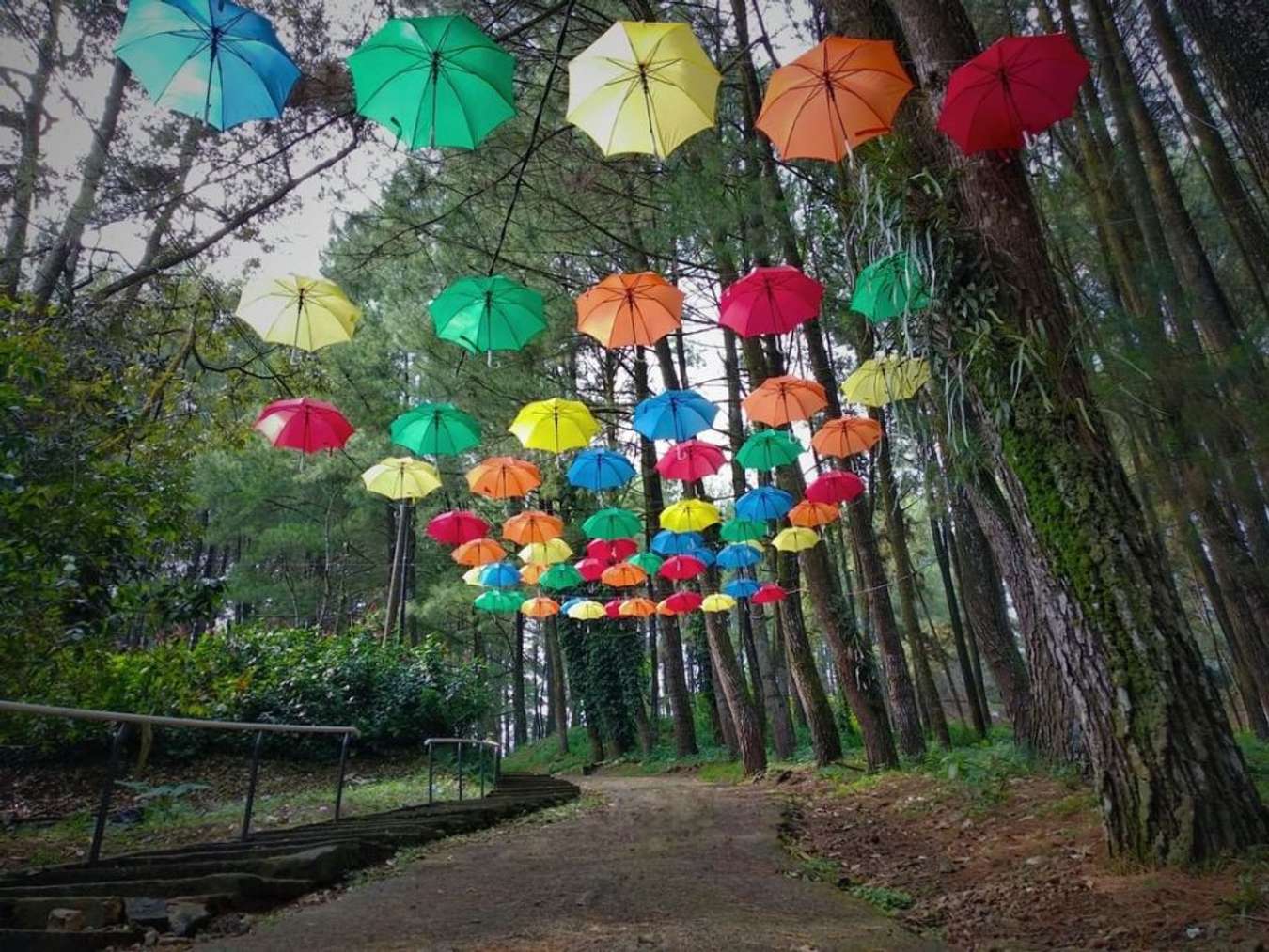 Bukit Baros, Area Camping dengan Pemandangan yang Mempesona