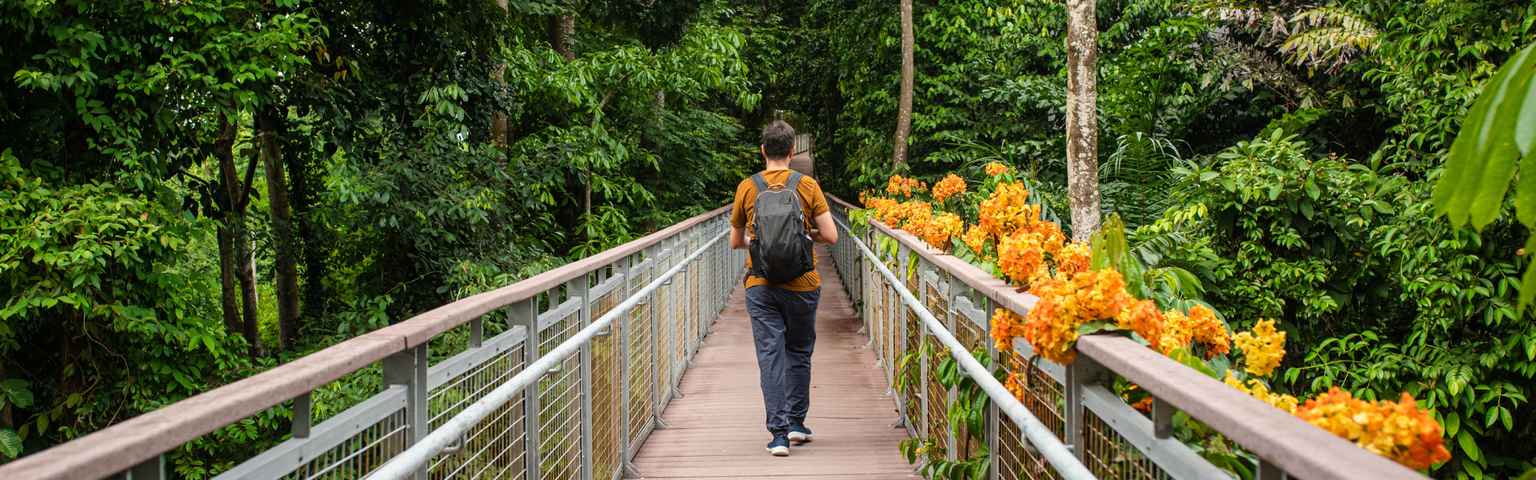 A Guide to Southern Ridges Walk