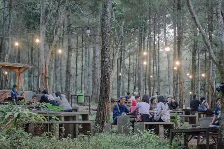 Pesona Hutan Pinus Kediri, Destinasi Wisata Alam yang Asri dan Indah