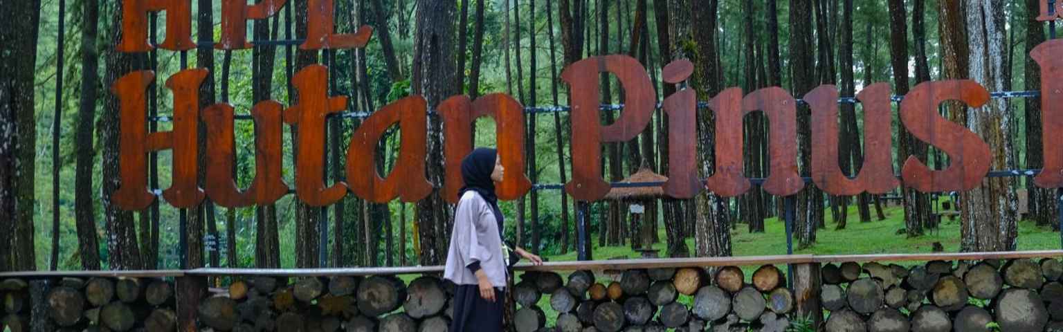 Hutan Pinus Loji, Wisata Alam Tersembunyi di Kawasan Blitar