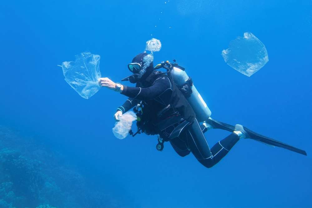 10 Environmental Organizations in the Philippines You Can Join