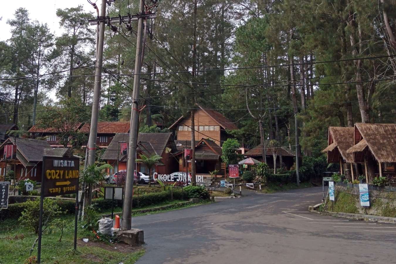 10 Wisata Hutan Pinus Bandung untuk Liburan yang Menyenangkan