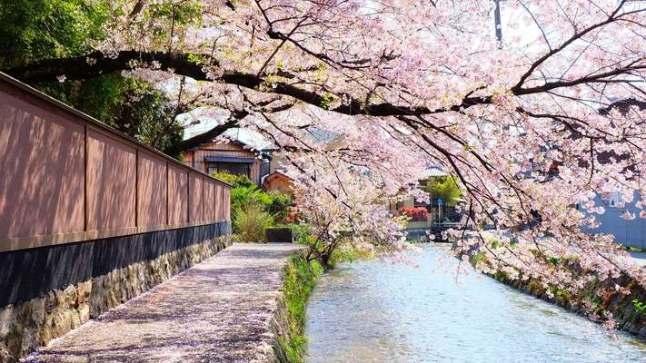 Difference with prepaid IC cards: Suica, Pasmo & Icoca on Holiday in Japan