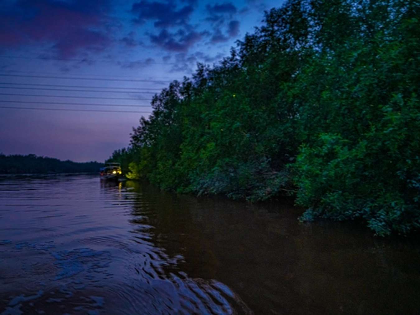 10 Fun Things To Do in Kuala Selangor