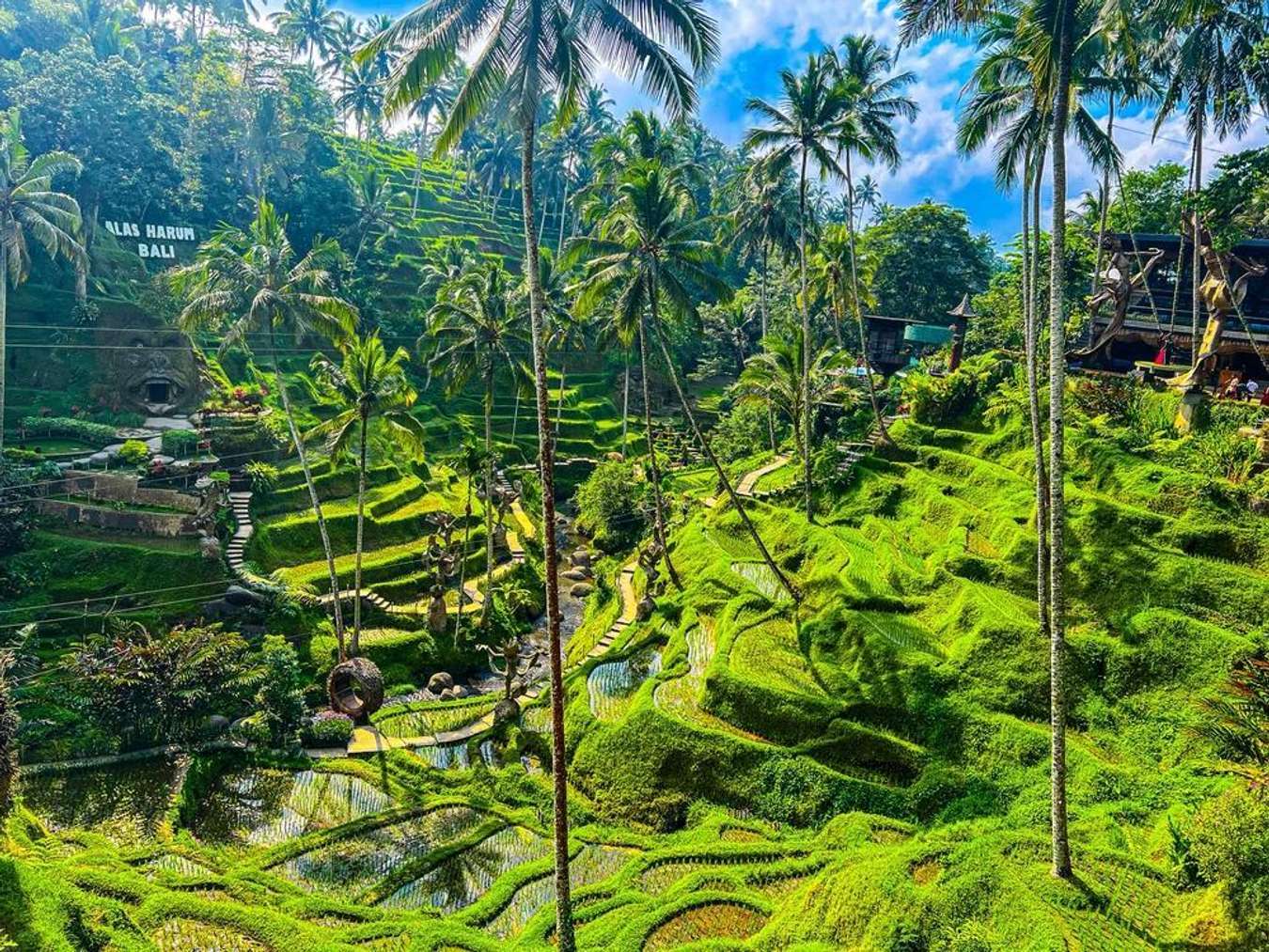 How to Get from Kuta to Ubud by Bus, Shuttle Bus, and More