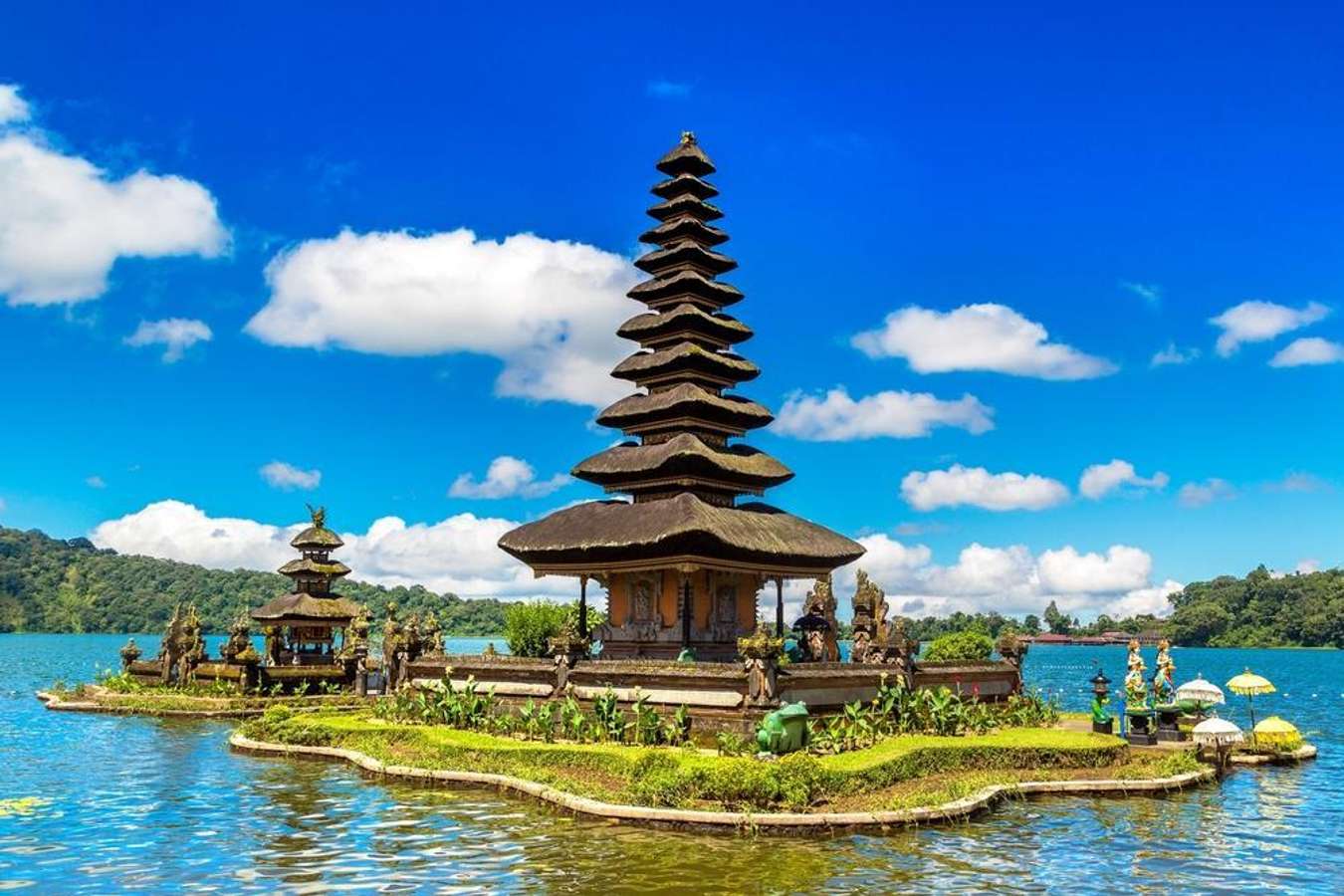 Getting from Denpasar to Ubud by Bus, Taxi, Shuttle and More