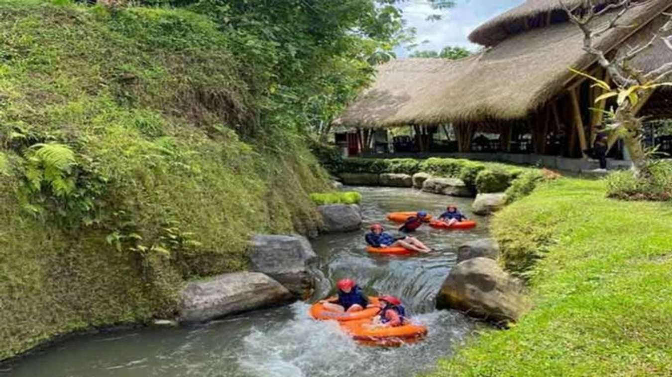 20 Things To Do in Ubud with Kids