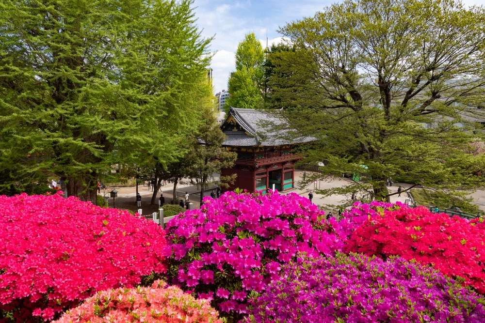 Golden Week Japan 2026: Travel Tips, Destinations & Holiday Guide