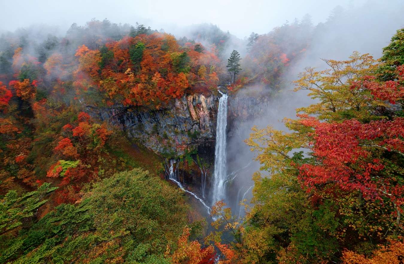 Best Time to Visit Japan in Autumn 2025