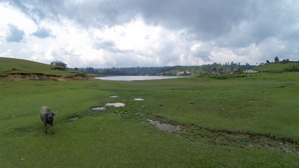 Danau Sidihoni, Wisata Danau Asri yang Indah di Pulau Samosir