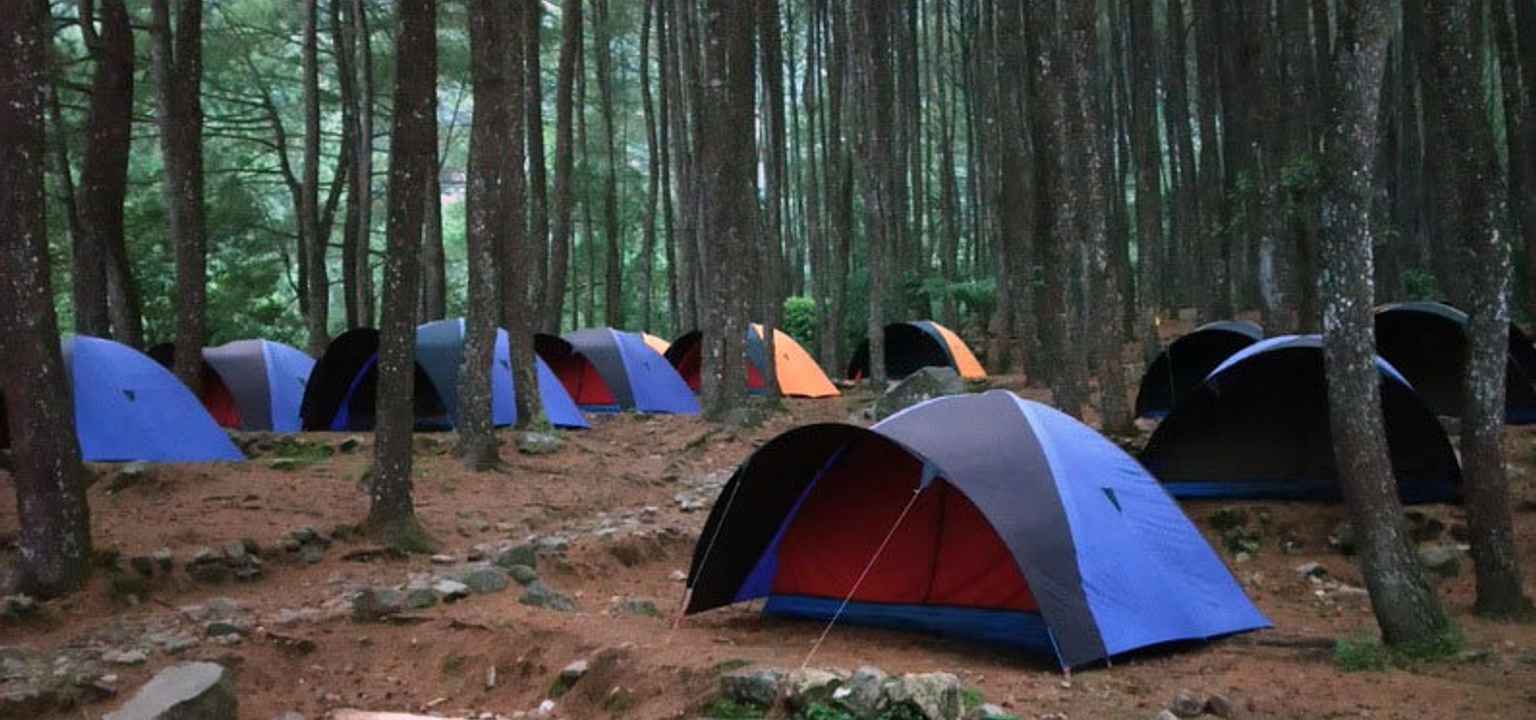 Bumi Perkemahan Suaka Elang Loji, Area Camping Sekaligus Konservasi ...