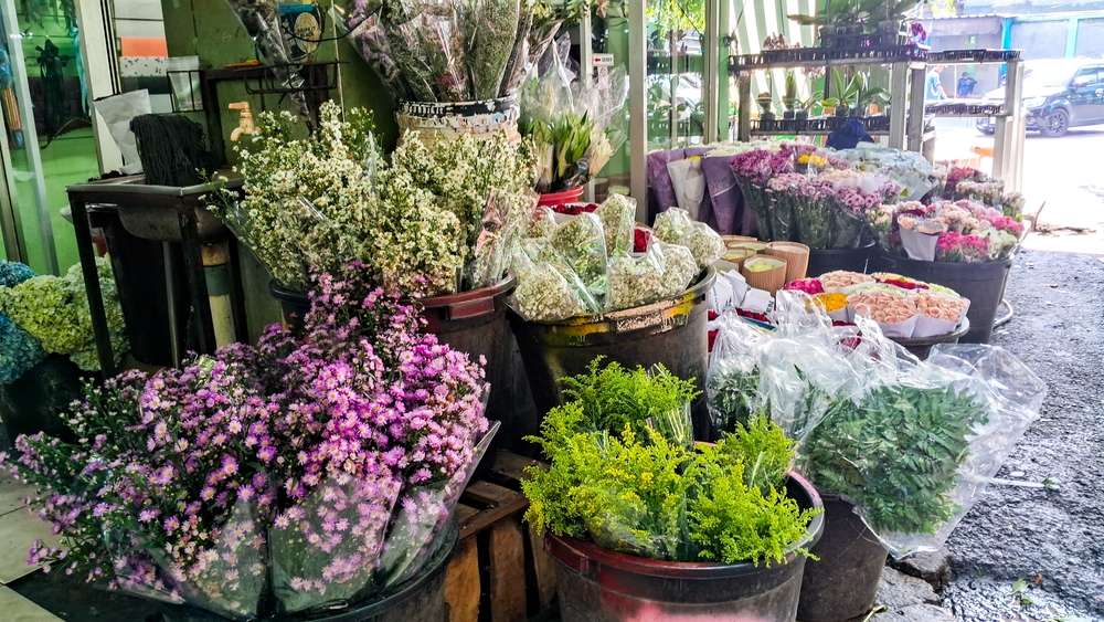 Ingin Membeli Bunga? Ini 7 Pasar Bunga Jakarta yang Wajib Kamu Kunjungi!
