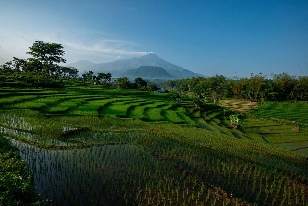 10 Tempat Camping di Trawas untuk Liburan yang Seru dan Menyenangkan