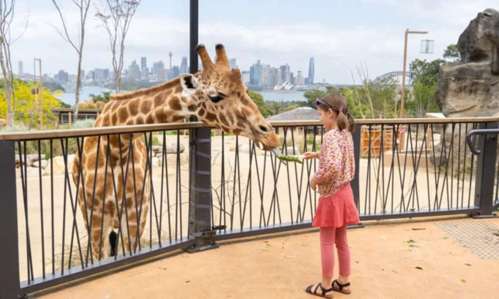 Vườn thú Taronga Zoo Sydney có gì hấp dẫn?