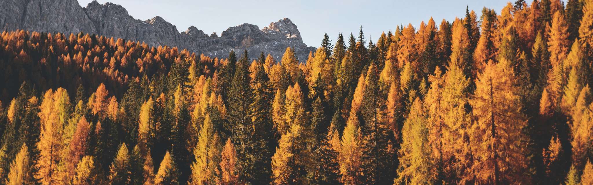 Tempat Wisata Terbaik di Eropa Saat Musim Gugur