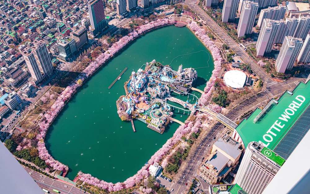 A Guide to Have Fun at Everland: South Korea’s Theme Park Experience