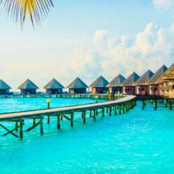 12 Kuliner Khas Wonosobo yang Khas Unik dan Lezat