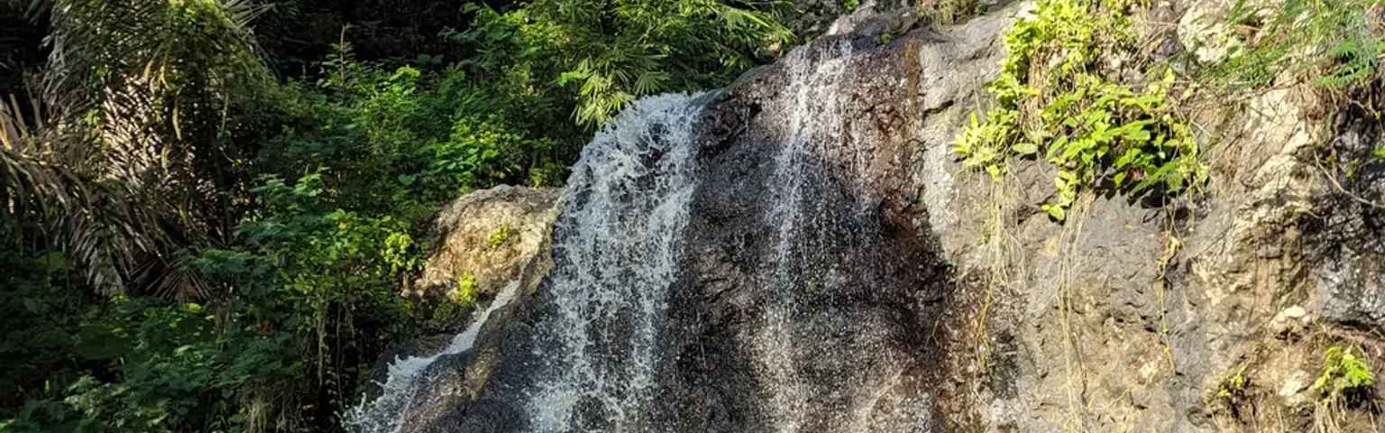 Yuk Telusuri Gembleng Waterfall, Pesona Alam Tersembunyi di Bali!