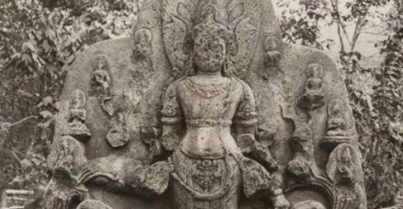 12 Hewan Khas Kalimantan yang Unik dan Terancam Punah